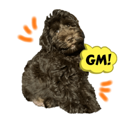 guuu_20210324010807 – LINE stickers | LINE STORE