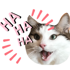 tenpuru_20210326021902 - Stiker LINE | LINE STORE