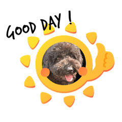 I am hungry!!!!dodo - Stiker LINE | LINE STORE