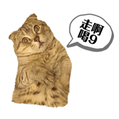 Isabel_20210328031201 – LINE stickers | LINE STORE