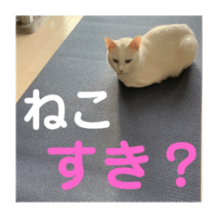 chi_20210329122630 – LINE stickers | LINE STORE