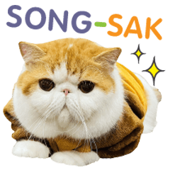 My name is Song-Sak – LINE stickers | LINE STORE