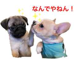 cui_20210404133504 – LINE stickers | LINE STORE
