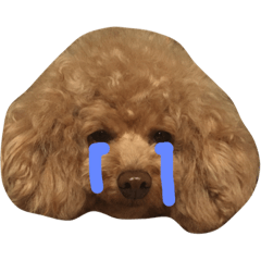 ANZUU – LINE stickers | LINE STORE