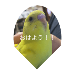 Rama_20210405141104 - Stiker LINE | LINE STORE