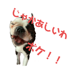 osora_20210409164620 – LINE stickers | LINE STORE