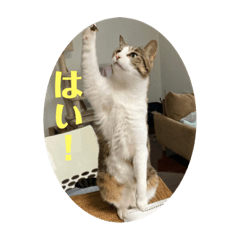 Daisuke Usami_20210415151229 – Stickers LINE | LINE STORE