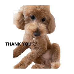 REO_20210417231401 – LINE stickers | LINE STORE