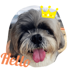 Taw Chin Jang – LINE stickers | LINE STORE