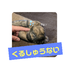 p-chan.p – LINE stickers | LINE STORE