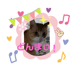 mika_20210418171817 – LINE stickers | LINE STORE