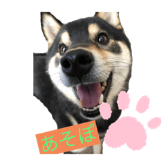 ariri_20210421223043 - Stiker LINE | LINE STORE