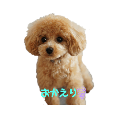 dog_20210421224705 - Stiker LINE | LINE STORE