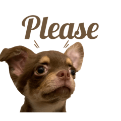 The baby Colbie – LINE stickers | LINE STORE