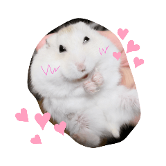 soy soy soybean – Stickers LINE | LINE STORE