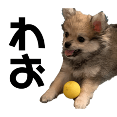 rei_20210501192204 – LINE stickers | LINE STORE