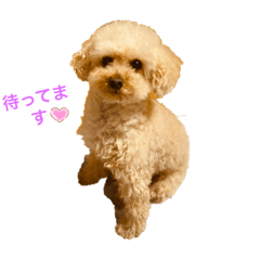 yuri_20210504180117 – LINE stickers | LINE STORE