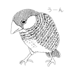 Bona 1 – LINE stickers | LINE STORE