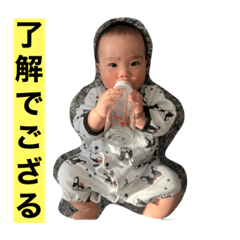 Shukun_20210507121147 - Stiker LINE | LINE STORE