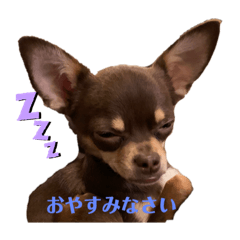 Hide_20210507135832 – สติกเกอร์ LINE | LINE STORE