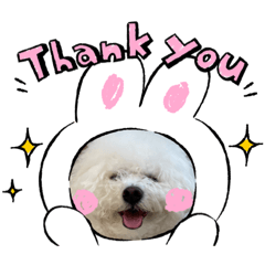 monkichi_20210507002015 – LINE貼圖 | LINE STORE