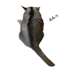 Loose Momonga - Stiker LINE | LINE STORE