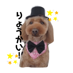 kumi_20210510002403 – LINE stickers | LINE STORE