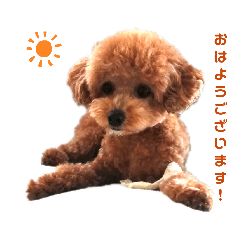 toshi_20210510204104 – LINE stickers | LINE STORE