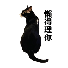 Angel Hsieh_20210510200812 - LINE スタンプ | LINE STORE