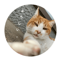 Yuri_20210511010603 – LINE stickers | LINE STORE