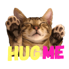 moew_20210511134101 – LINE stickers | LINE STORE