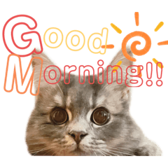 KCRM_20210511192111 – LINE stickers | LINE STORE