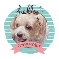 Peter Patt_20210513225914 – LINE貼圖 | LINE STORE