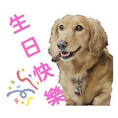 cute pipi_20210515182323 – LINE stickers | LINE STORE