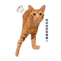 Annie Chang_20210516110020 - LINE スタンプ | LINE STORE