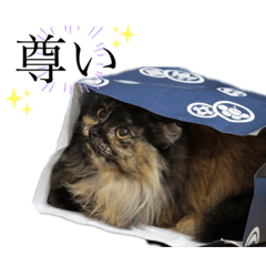 sabi-cat nectar_20210514152049 – LINE stickers | LINE STORE