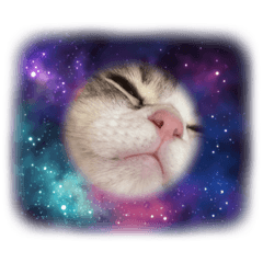 asa_20210521204649 – LINE stickers | LINE STORE