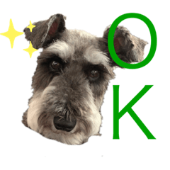 MSK_20210523091050 – LINE stickers | LINE STORE