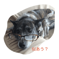 wan-wan Marble – LINE stickers | LINE STORE