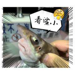 Yu Lee_20210523192217 – LINE stickers | LINE STORE