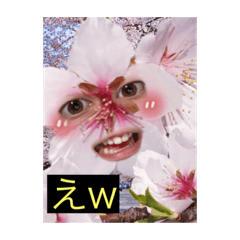 tanaka_ke_20210524194030 – LINE 스티커 | LINE STORE