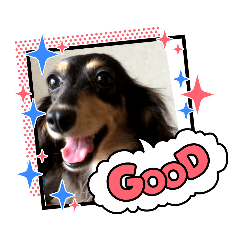 cucuru&an_20210525071714 - Stiker LINE | LINE STORE