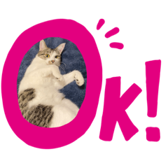 mari_20210525200205 - Stiker LINE | LINE STORE