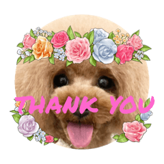 may_famスタンプ - LINE スタンプ | LINE STORE