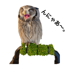 RITSU WATANABE_20210527021658 – LINE stickers | LINE STORE