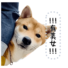 Tang_20210506 – LINE stickers | LINE STORE