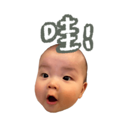 Tu Dou daily greetings – LINE stickers | LINE STORE