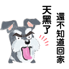 YOLO_20210604164047 - LINE スタンプ | LINE STORE