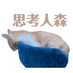LINGDAI – LINE stickers | LINE STORE