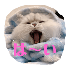 enna_20210608205639 – LINE stickers | LINE STORE